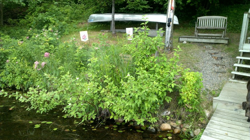 Shorelines and Fish Tales – East Metro Water