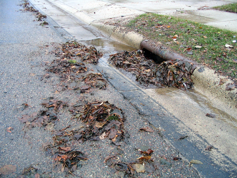 East Metro residents adopt thousands of storm drains to help protect ...