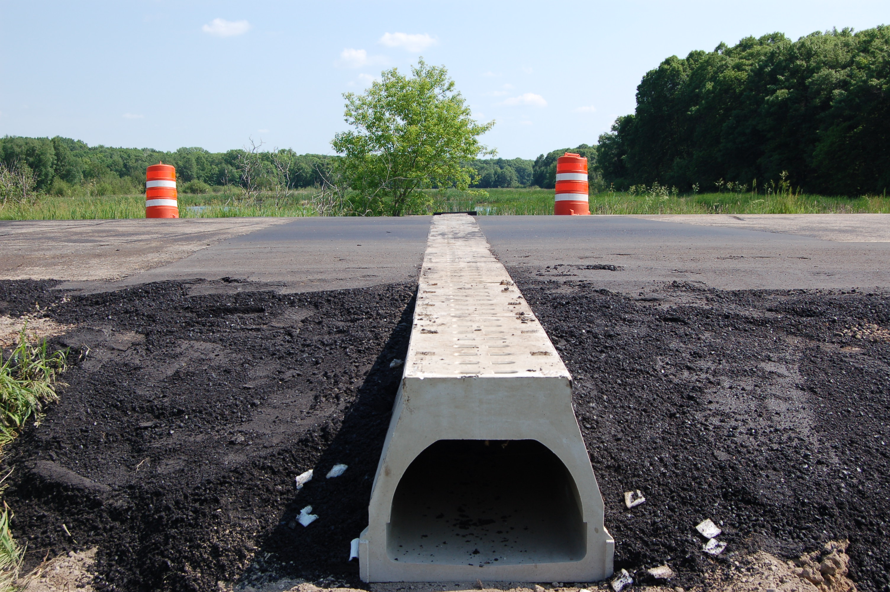 Turtle Tunnel Provides a Rare Glimpse Into the Secret Lives of Wildlife ...