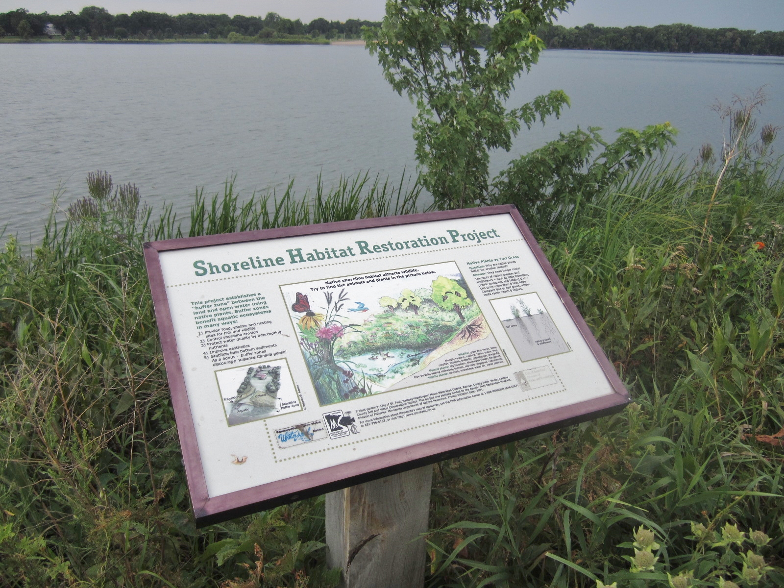 Secrets to success: Cleaner water and healthy landscapes – East Metro Water