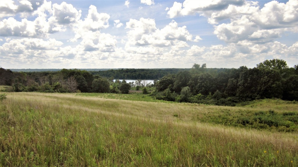 Stepping off the beaten path and into Mooer’s Park charm – East Metro Water