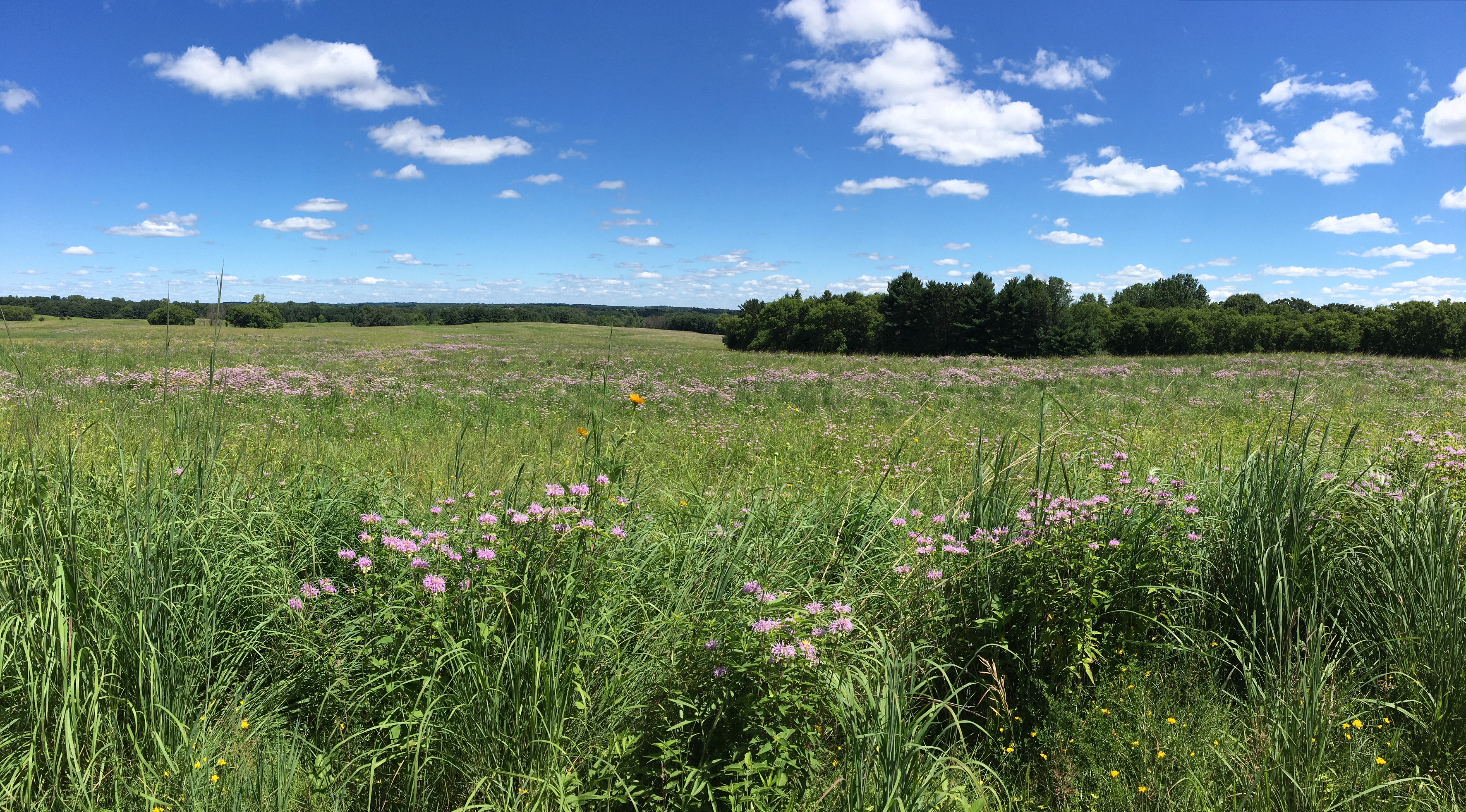 Putting Down Roots in the Prairie – East Metro Water