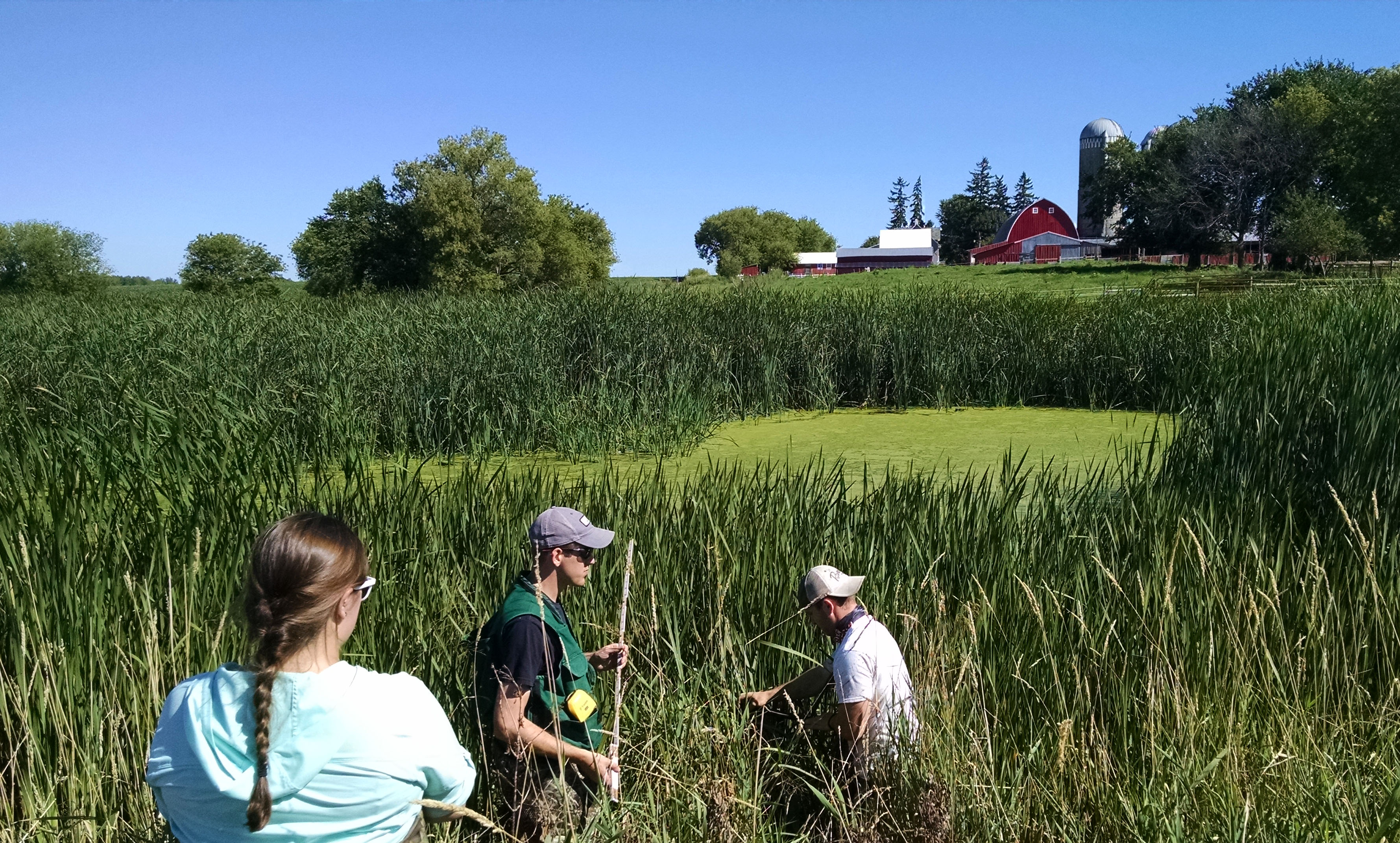 A clear path ahead for Moody Lake – East Metro Water