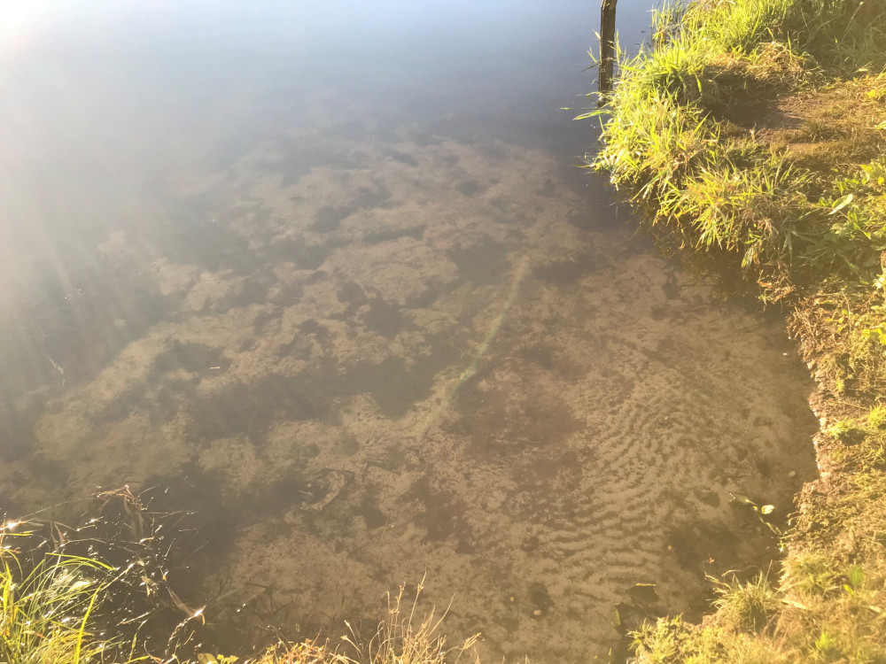 A clear path ahead for Moody Lake – East Metro Water