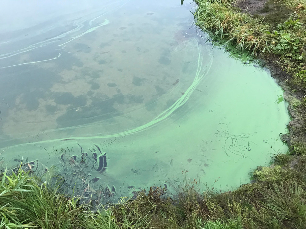 A clear path ahead for Moody Lake – East Metro Water