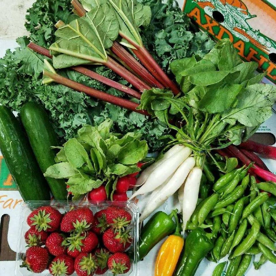 Finding ways to balance farming and clean water – East Metro Water