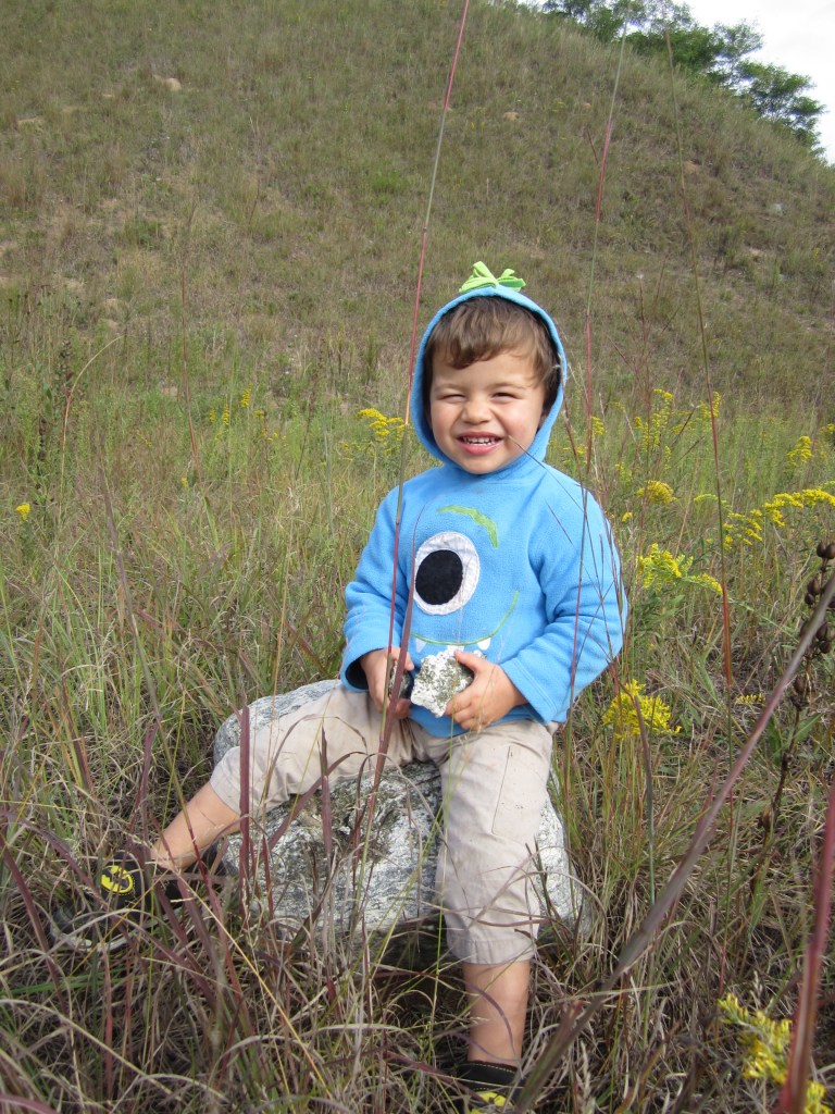 Scientific and Natural Areas protect Minnesota’s natural heritage ...