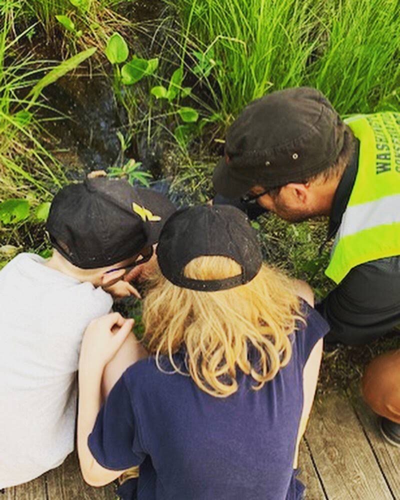 Tamarack Nature Preserve Park & Boardwalk Reopening Celebration – East ...