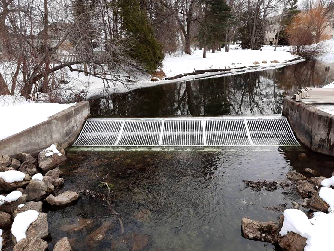 New fish barrier will keep carp out of Forest Lake – East Metro Water