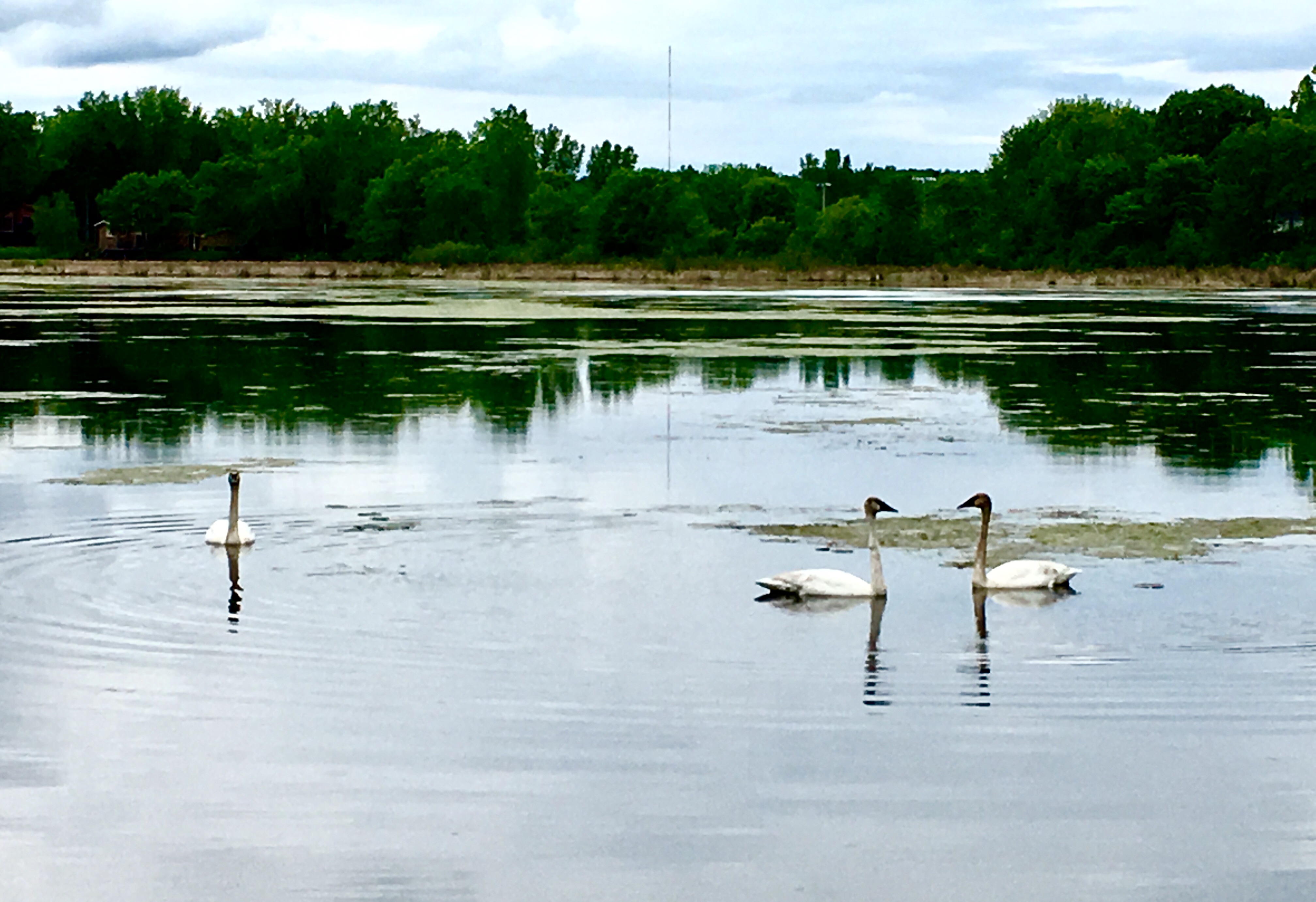 Tracking the health of lakes in Washington County – East Metro Water