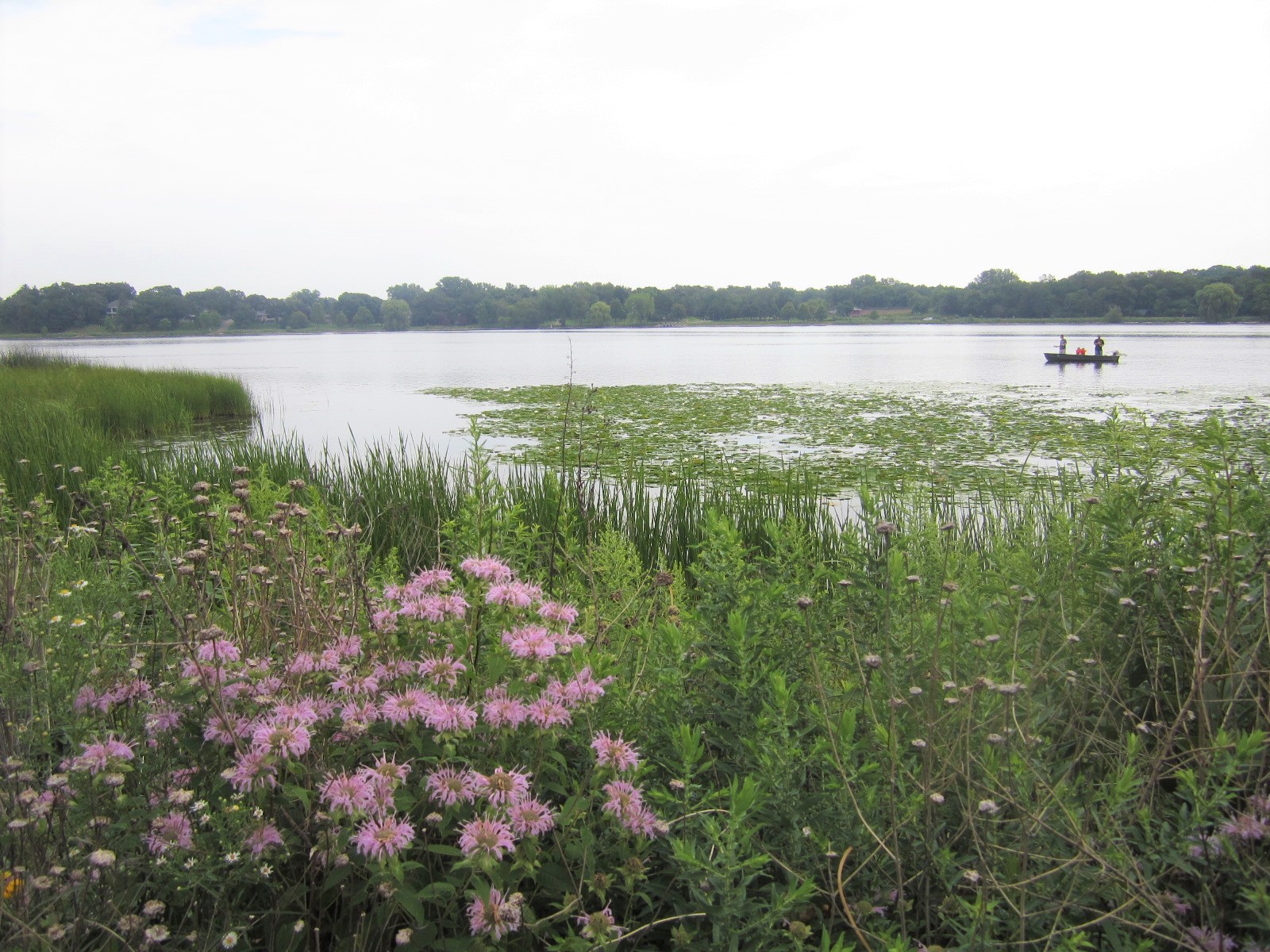 After 100 years underground, Phalen Creek will finally see the light ...