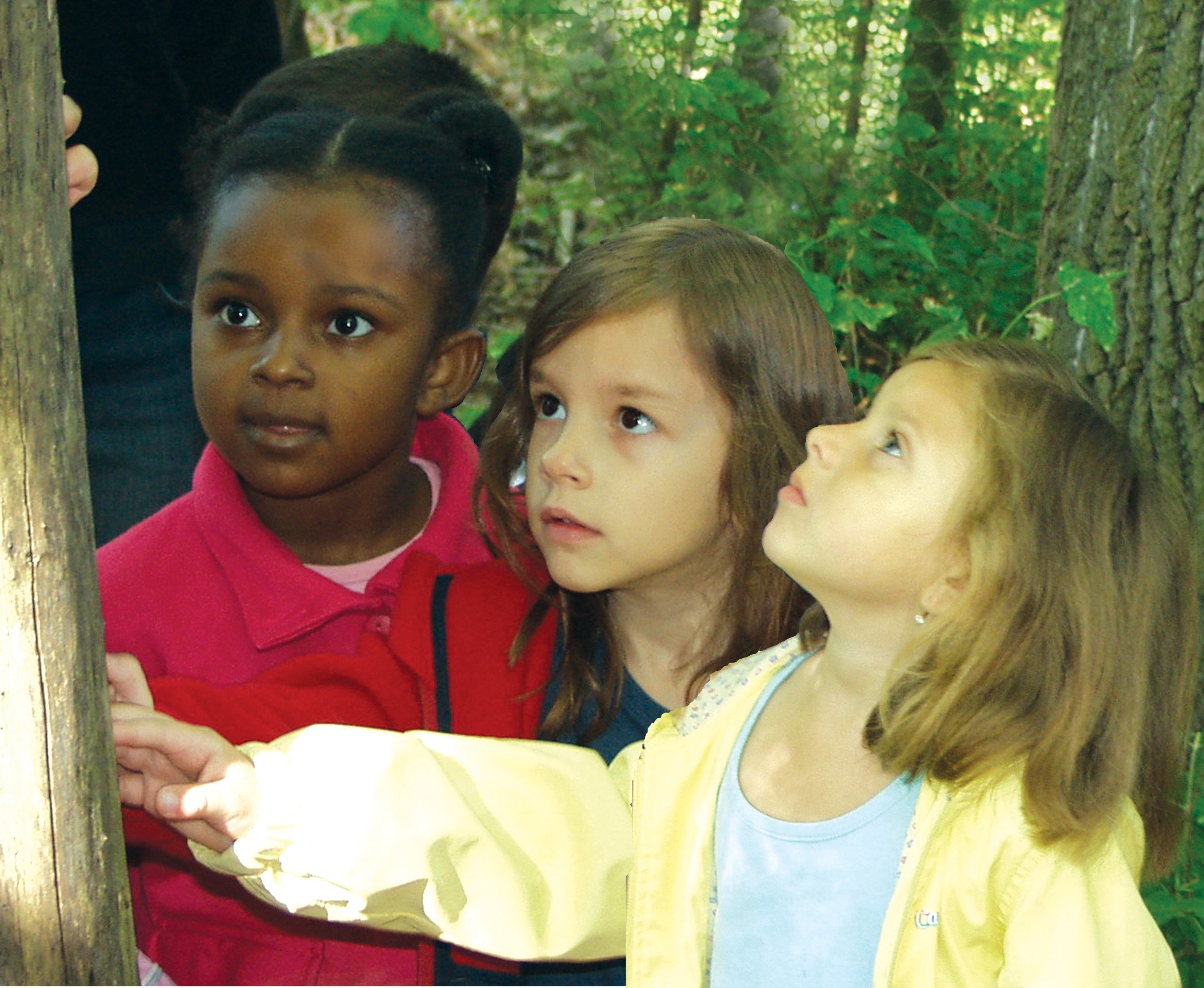 The Changing Landscape of Nature-Based Education in Minnesota – East ...