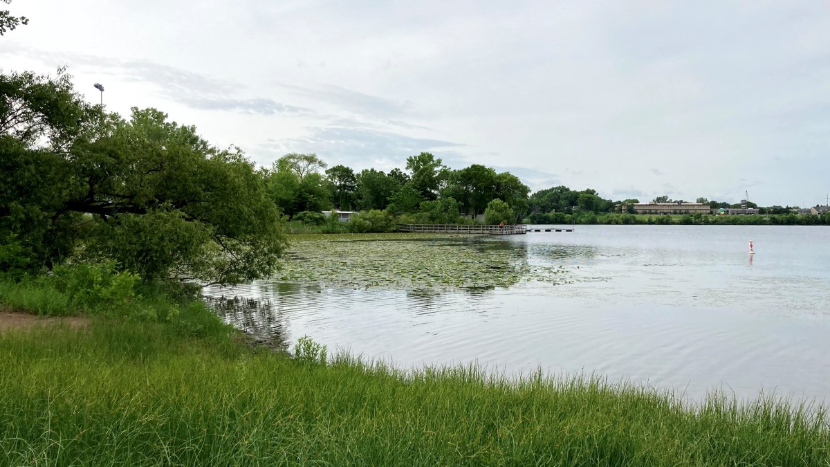 Mercury levels going down in Minnesota lakes – East Metro Water