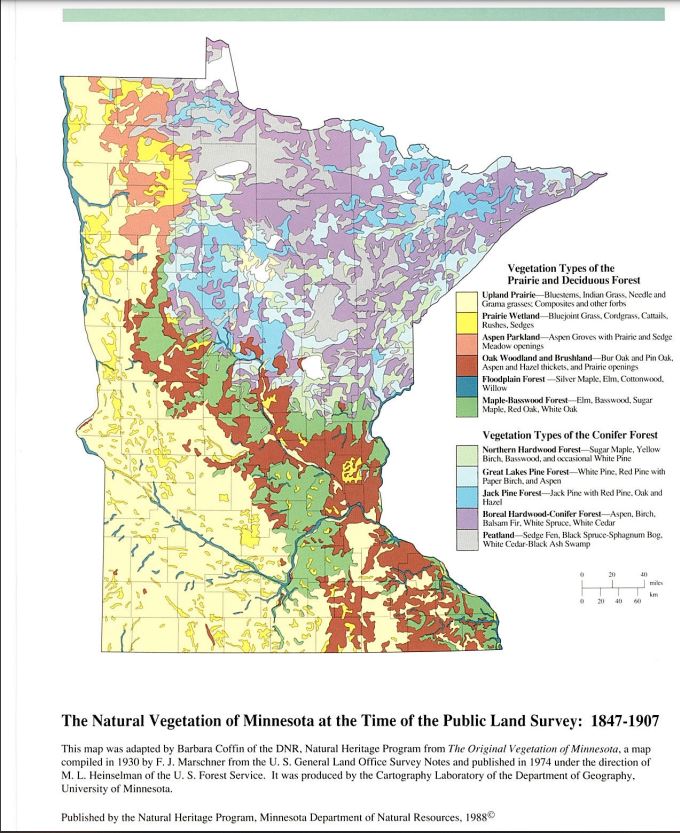 Land Cover and Pollinators? There’s a Map for That. – East Metro Water