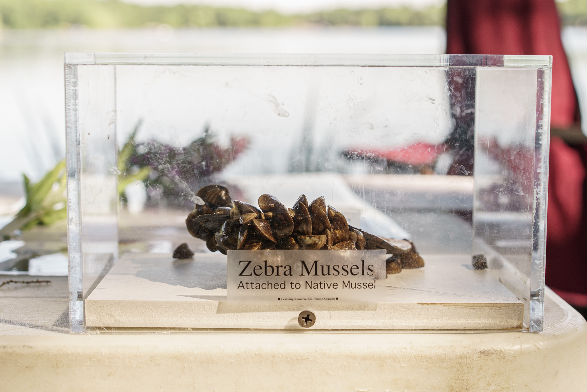 2021-0622-cwmn_invasivespeciesevent_aisdetector_linklavey_web_017 ...