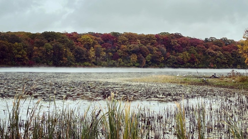 Legacy Amendment is one of many things that Minnesota does well – East ...