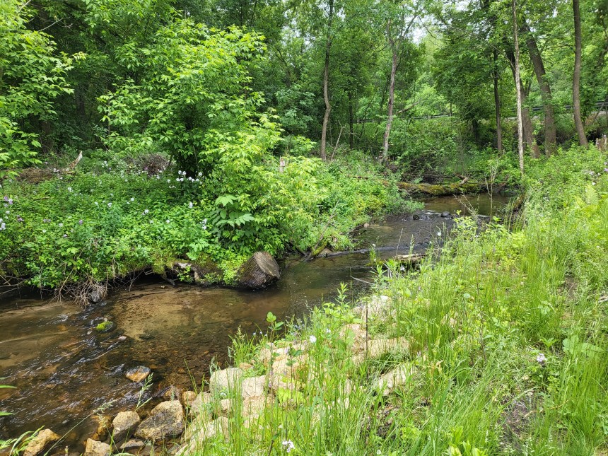 A new future for an old stream? – East Metro Water