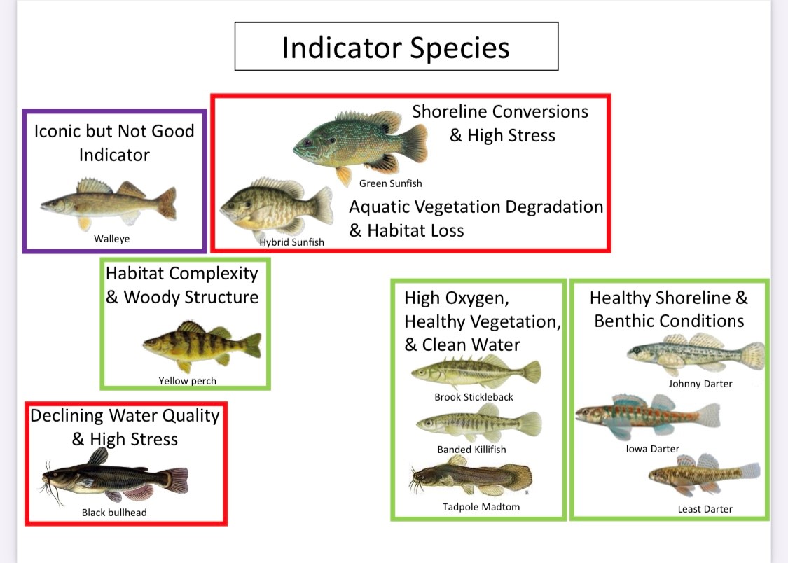 Shorelines and Fish Tales – East Metro Water