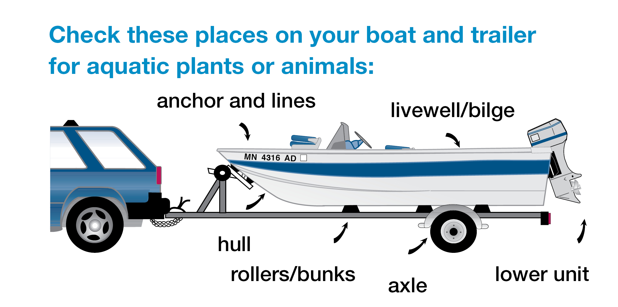 Zebra mussels found in Big Carnelian Lake – East Metro Water