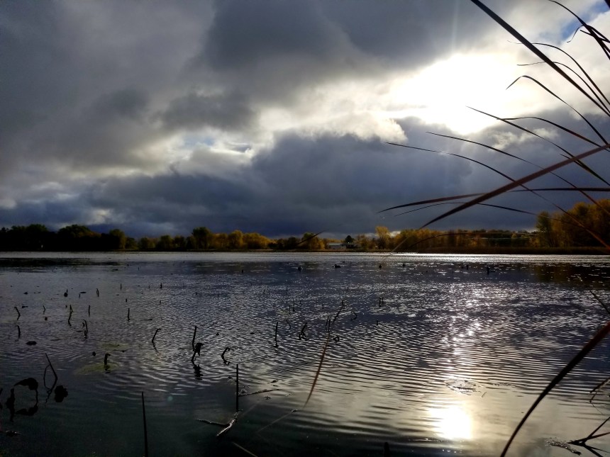 Minnesota Lakes – What’s in a Name? – East Metro Water