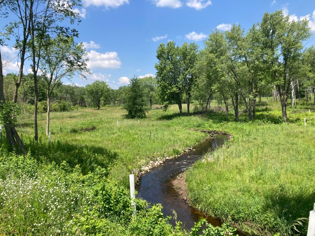 Brown’s Creek winds its way toward cleaner water – East Metro Water