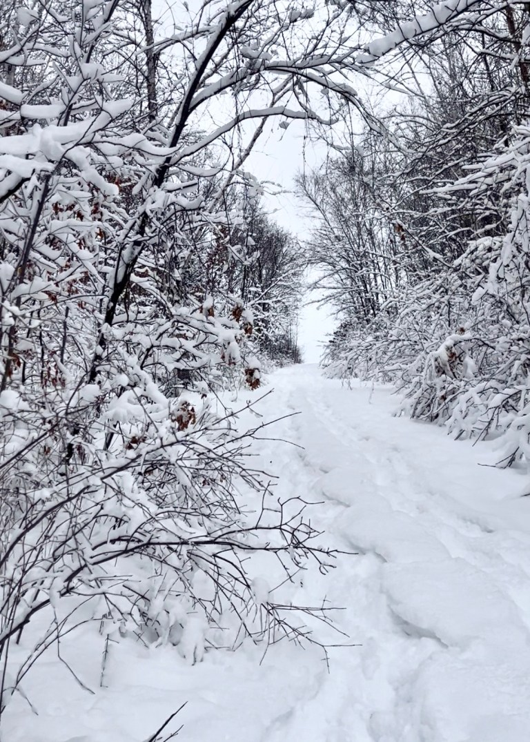 The Science of a Walk – East Metro Water